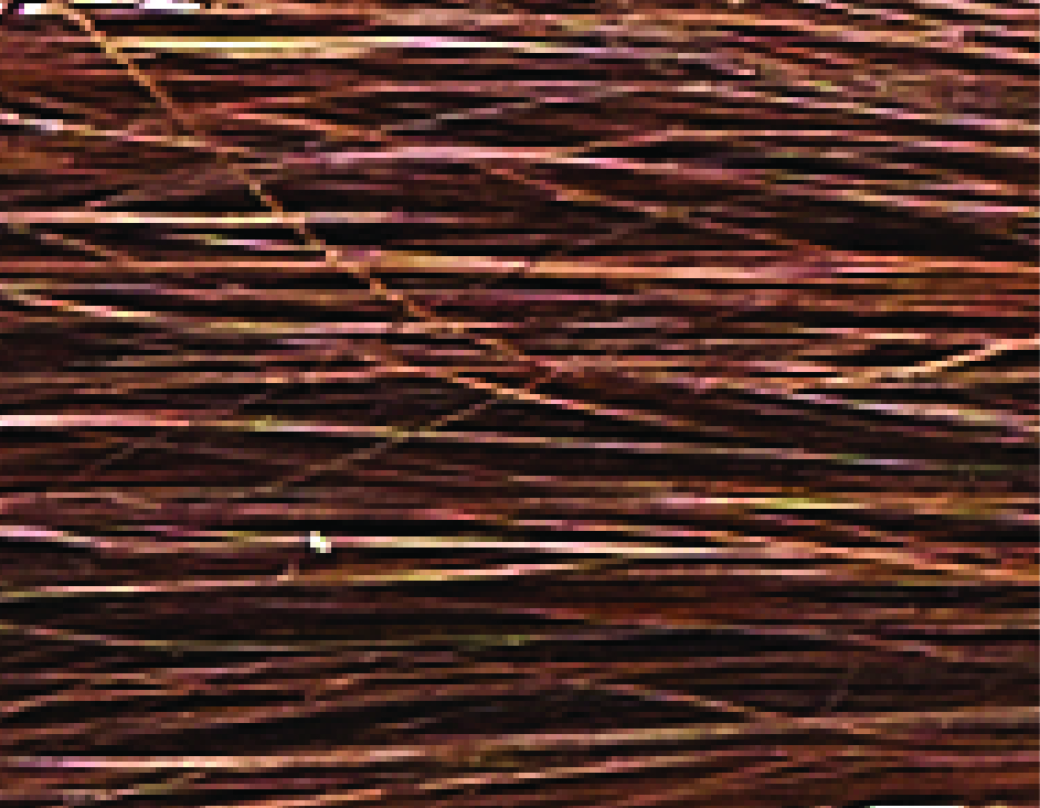 About | Our Story | Tanis Brush