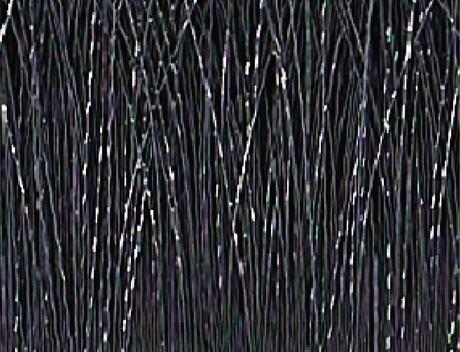 Abrasive Nylon Disc Brushes for Deburring & Finishing | Tanis Brush